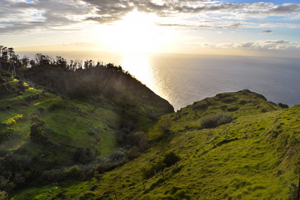 24 Photos to Inspire You to Visit Madeira Island | The Cheerful Wanderer